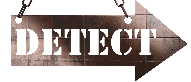 Child Identity Theft